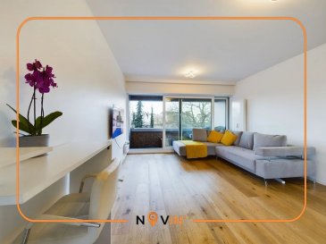 Novin' Real Estate